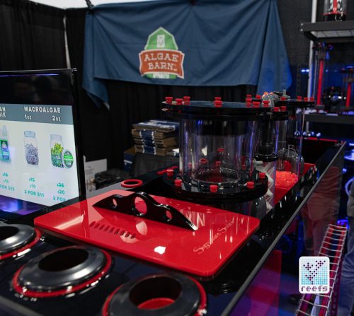Reefapalooza Walkthrough Part II: Reefs.com booth, Colchester Pet Shop ...