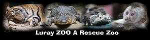 Luray Rescue Zoo - Reefs.com