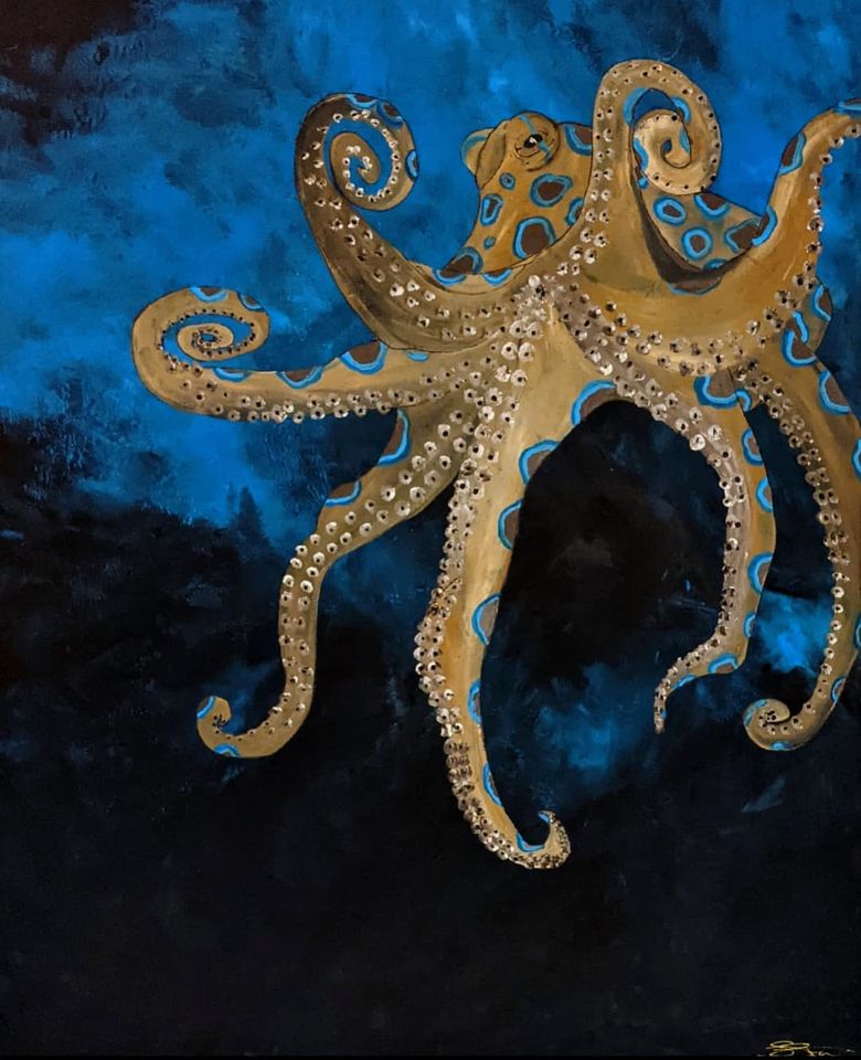 Amazing Octopi