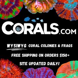 Aqua Medic Coral Holders are Perfect for Displaying All Sorts of Corals