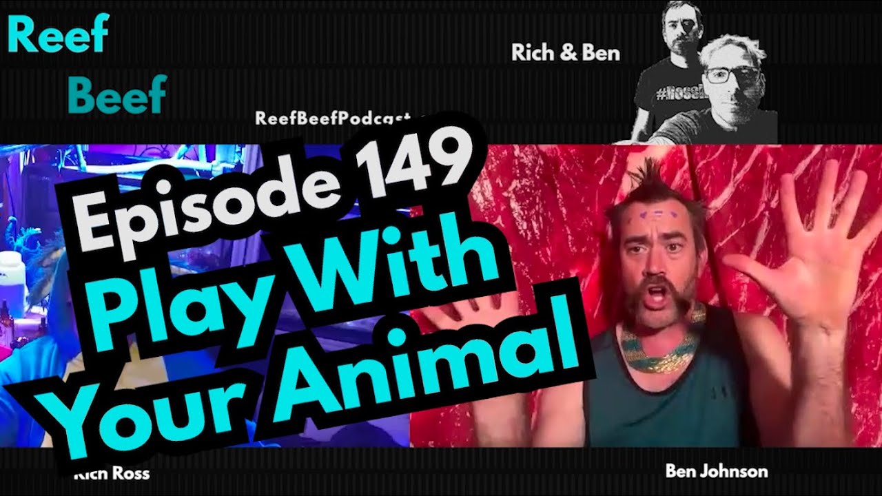 Reef Beef Episode 149: Play With Your Animal