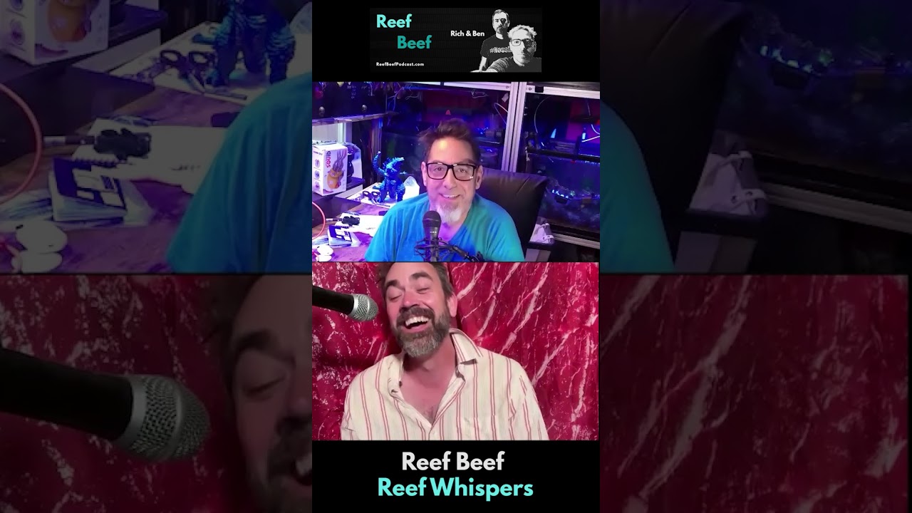 Reef Whispers - Reef Beef