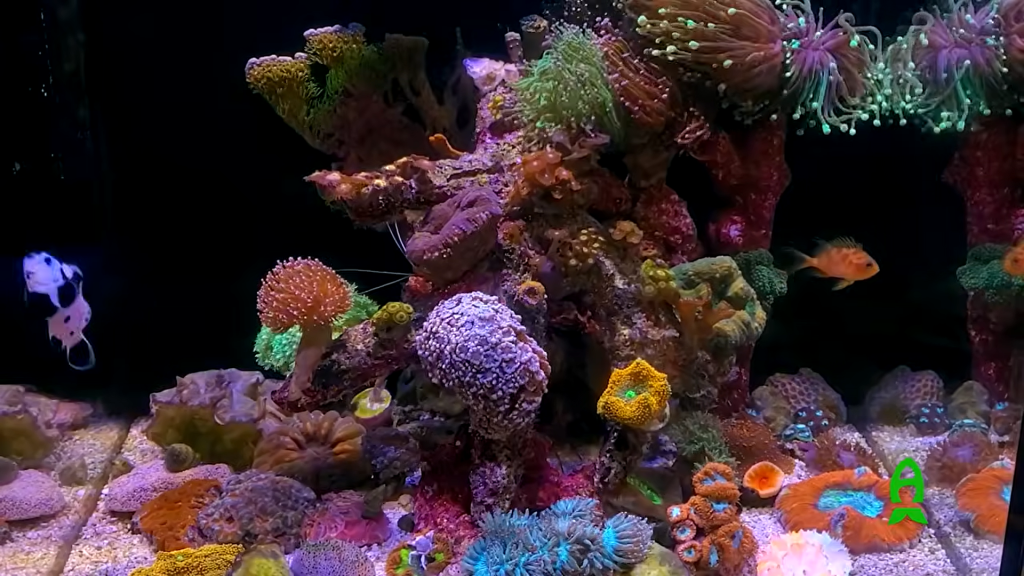 One of the most FASCINATING things that I found at RAP 2026 - Nature's ...
